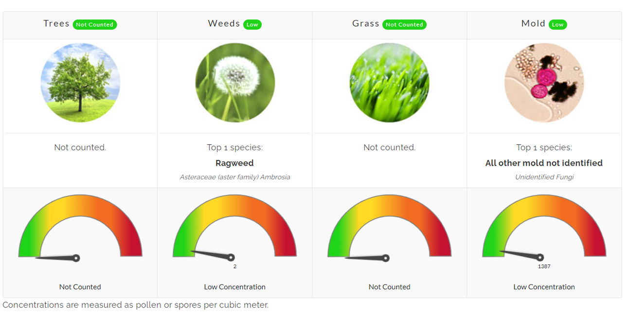 Pollen Count - August 19, 2023 - Family Allergy & Asthma Care