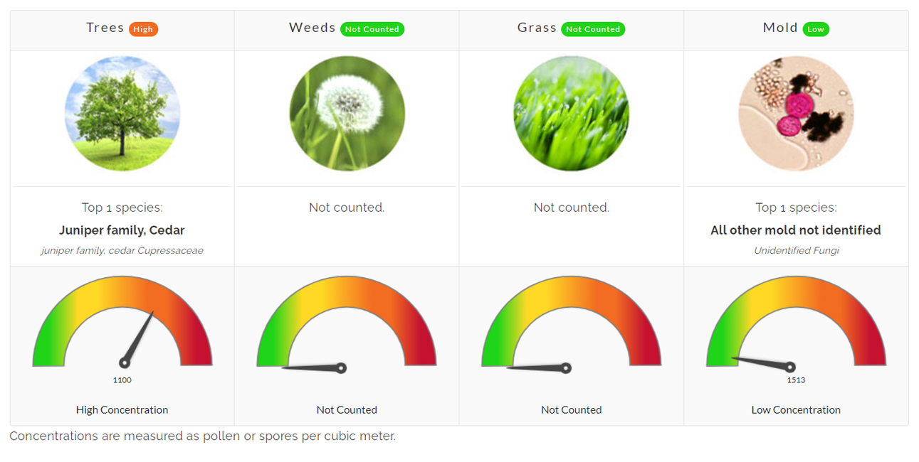 Pollen Count - December 31, 2023 - Family Allergy & Asthma Care